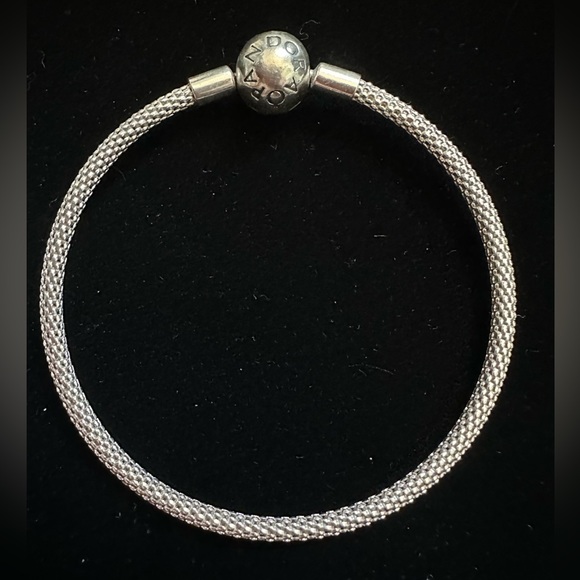 Pandora | Jewelry | Pandora Moments Mesh Bracelet Only No Charms | Poshmark
